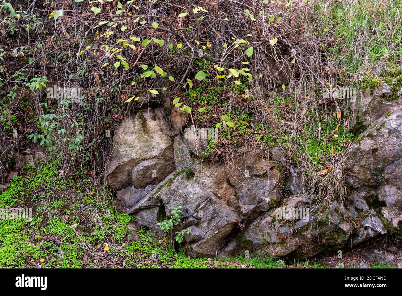 Textured stone background hard surface rock mountain trail Stock Photo ...