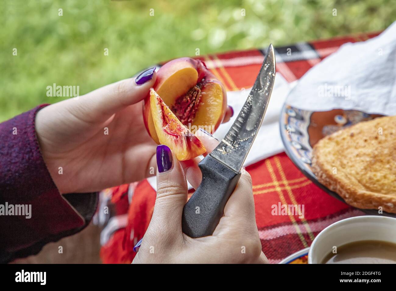 Peach culture hi-res stock photography and images - Alamy