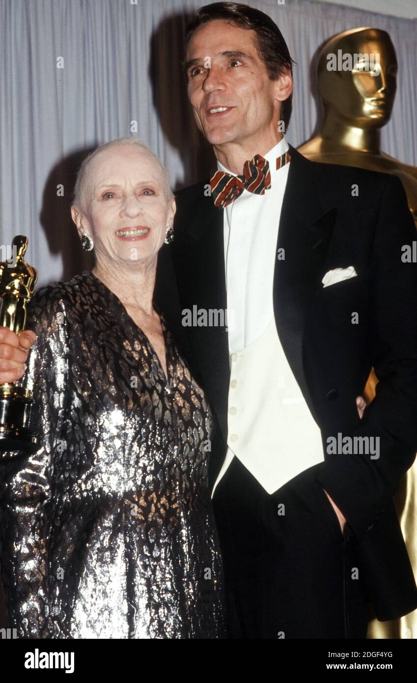 Jessica Tandy Oscar Dress