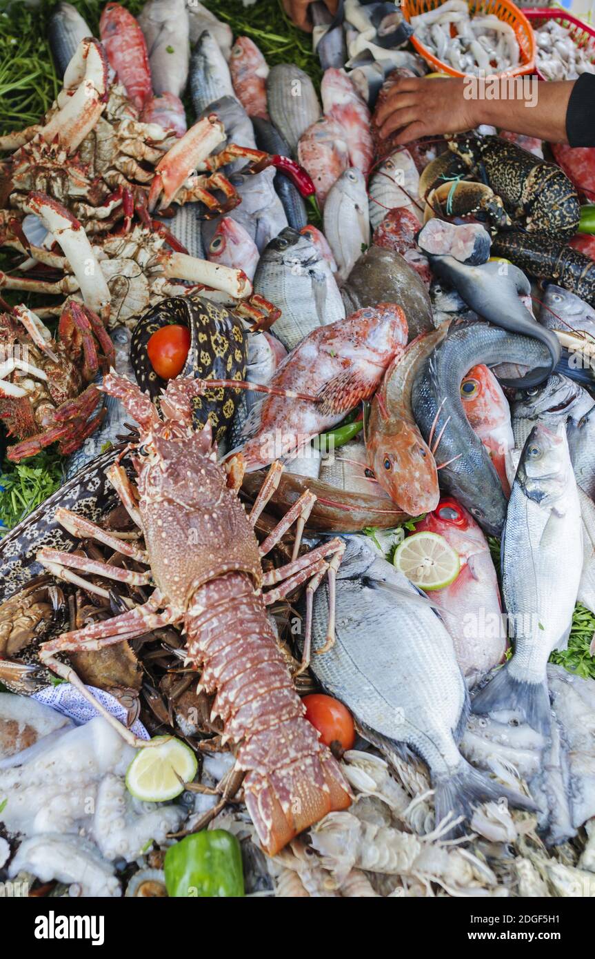 Market stall with fresh fish and seafood Stock Photo - Alamy