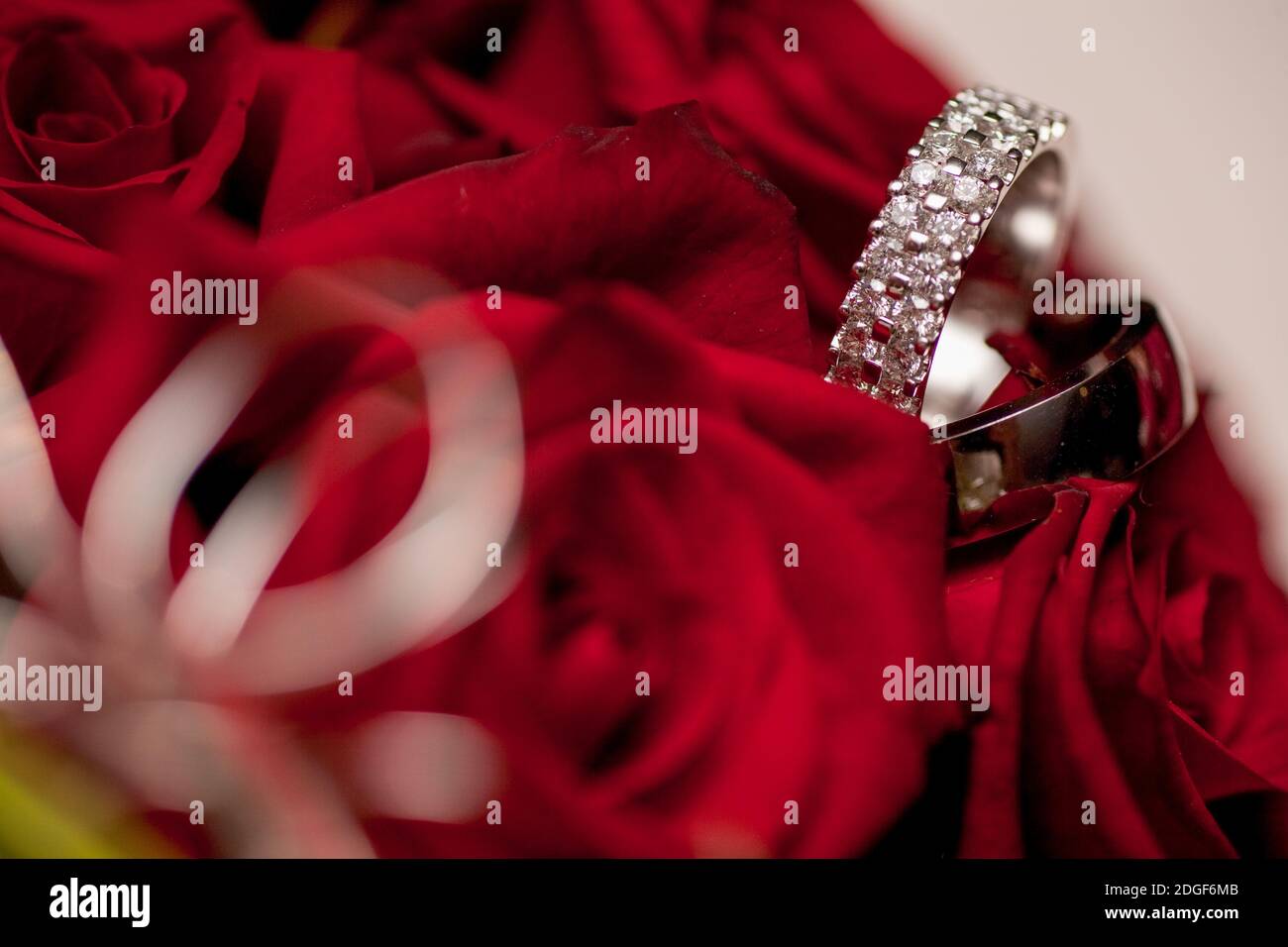 Wedding rings on red roses background Stock Photo - Alamy