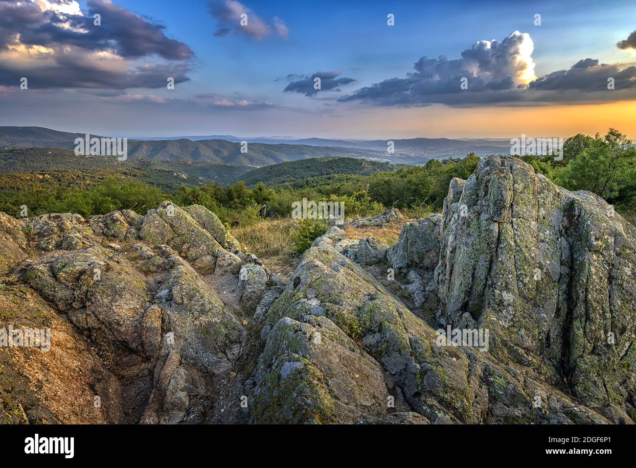 Vibrant amazing hi-res stock photography and images - Alamy