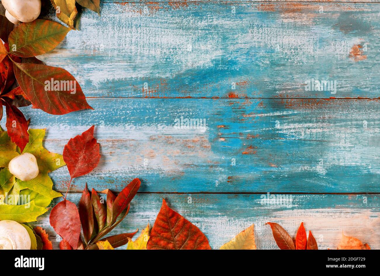 Thanksgiving border hi-res stock photography and images - Alamy