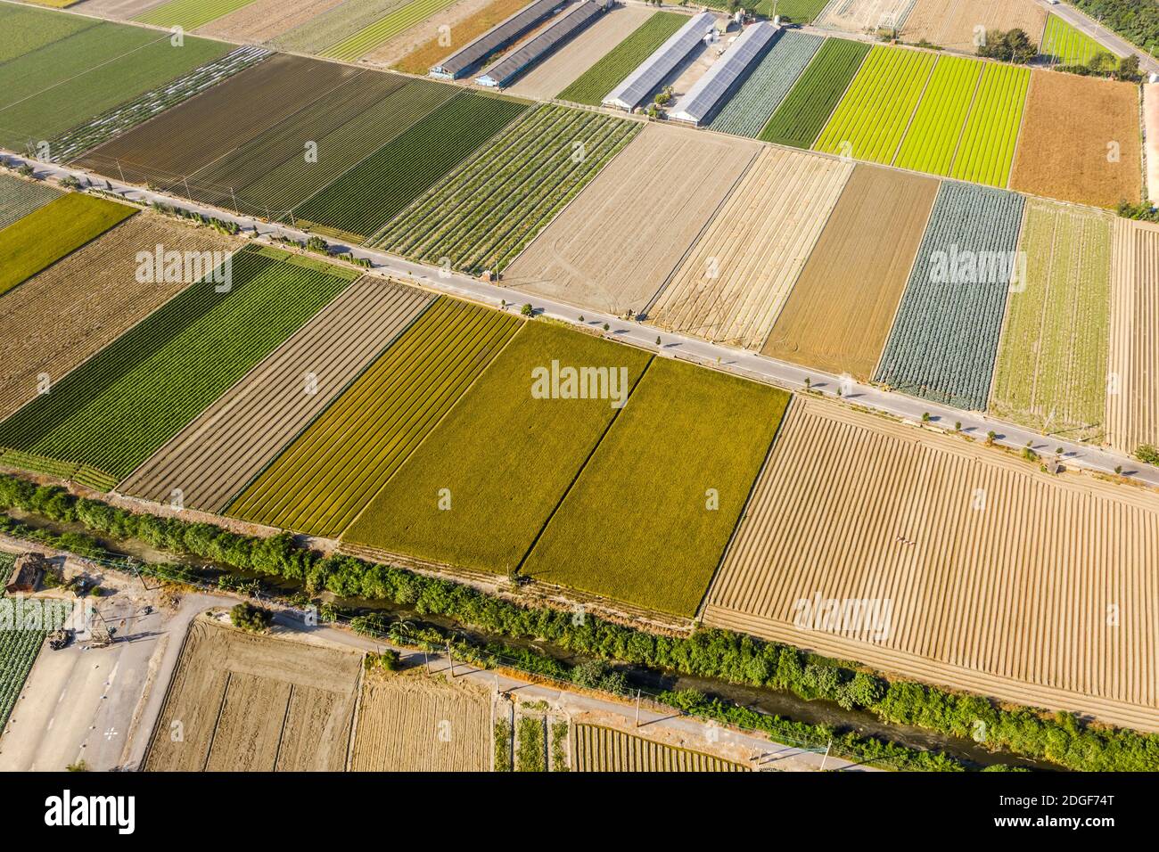 Rural view rice farm hi-res stock photography and images - Alamy