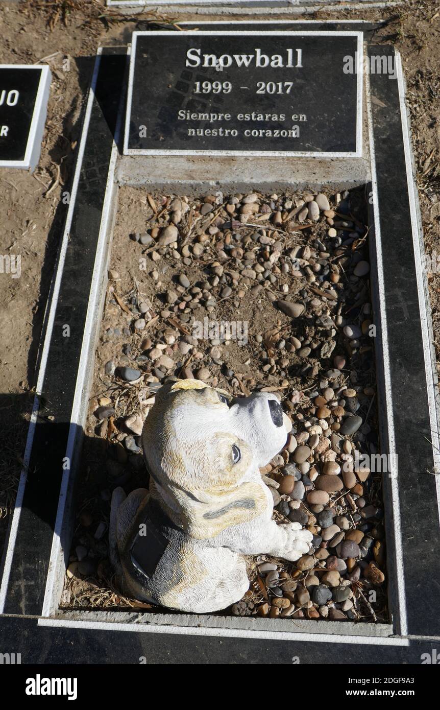 Gardena, California, USA 2nd December 2020 Pet Grave for Snowball at ...