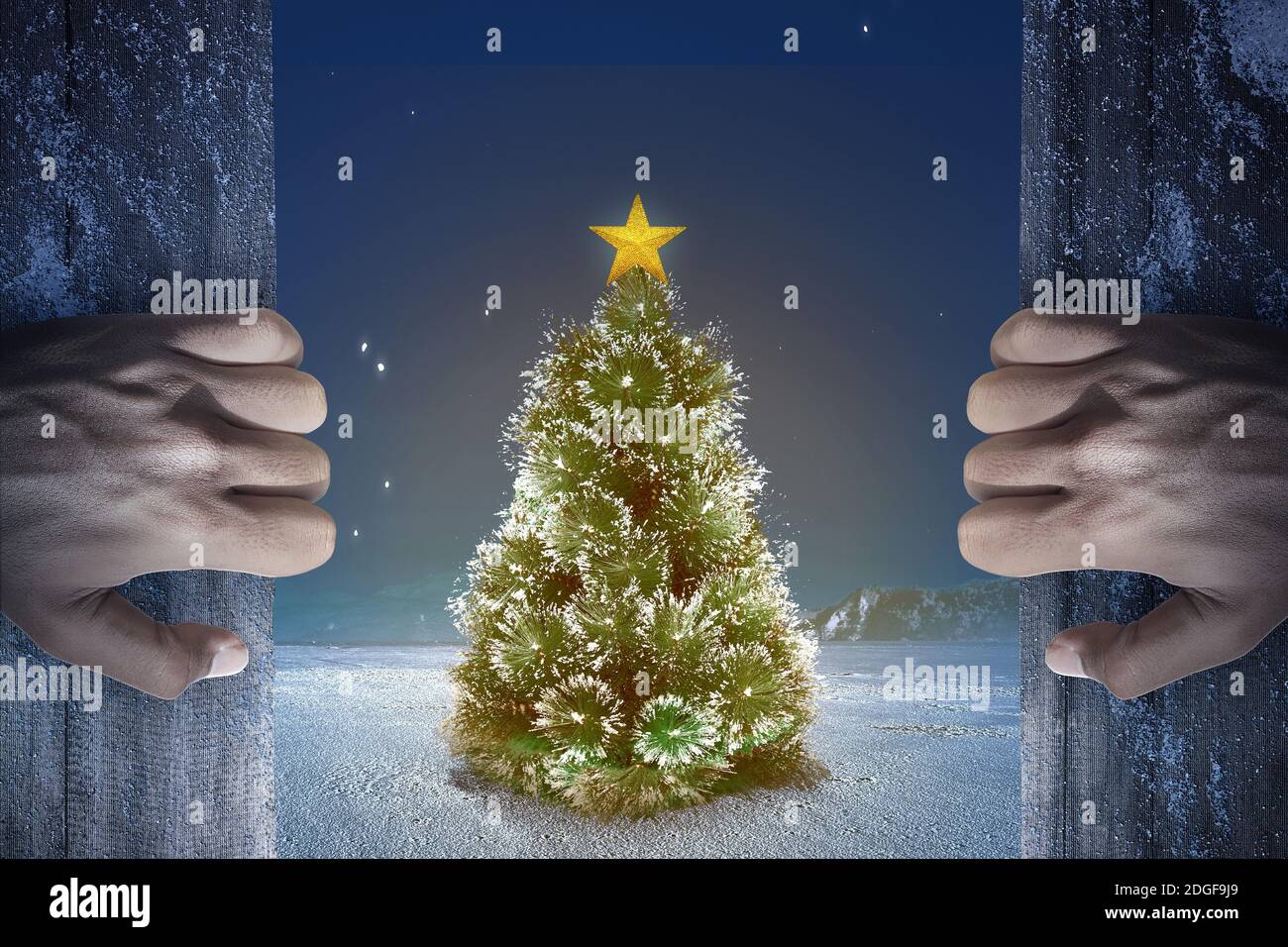 Hand opening wooden door with a Christmas tree with colorful ornament ...