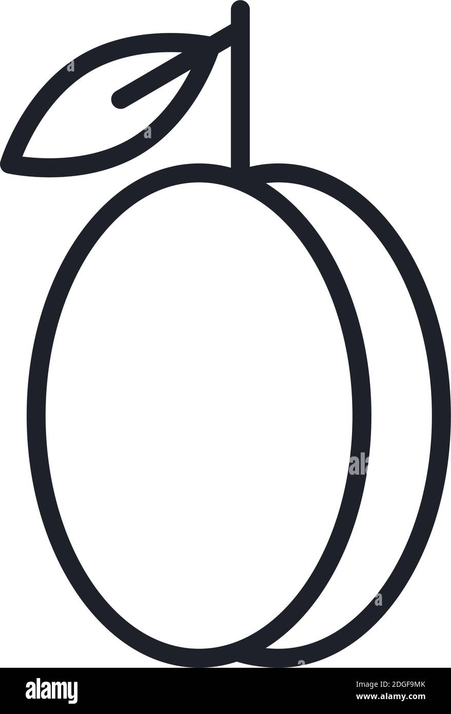 Plum or apricot icon. Vector linear icon, contour, shape, outline ...