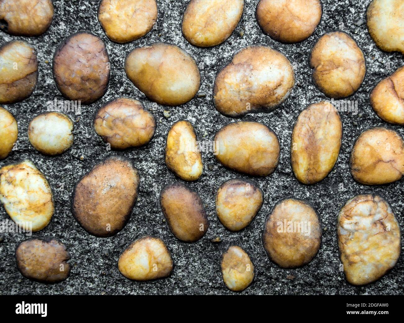 Texture of river stone in concrete walkway Stock Photo - Alamy