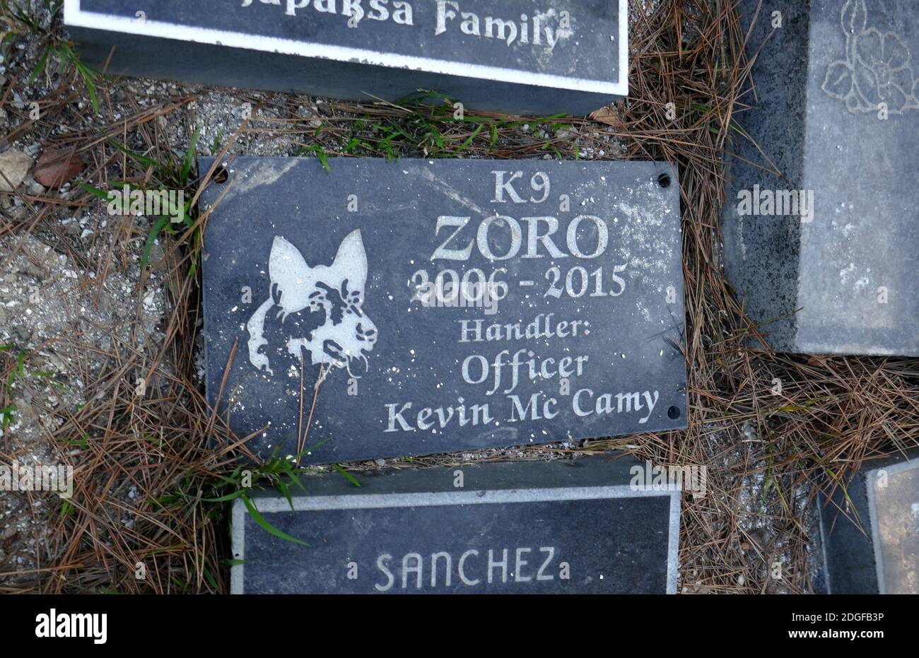 Gardena, California, USA 2nd December 2020 Pet Grave for K9 Dog Zoro at ...