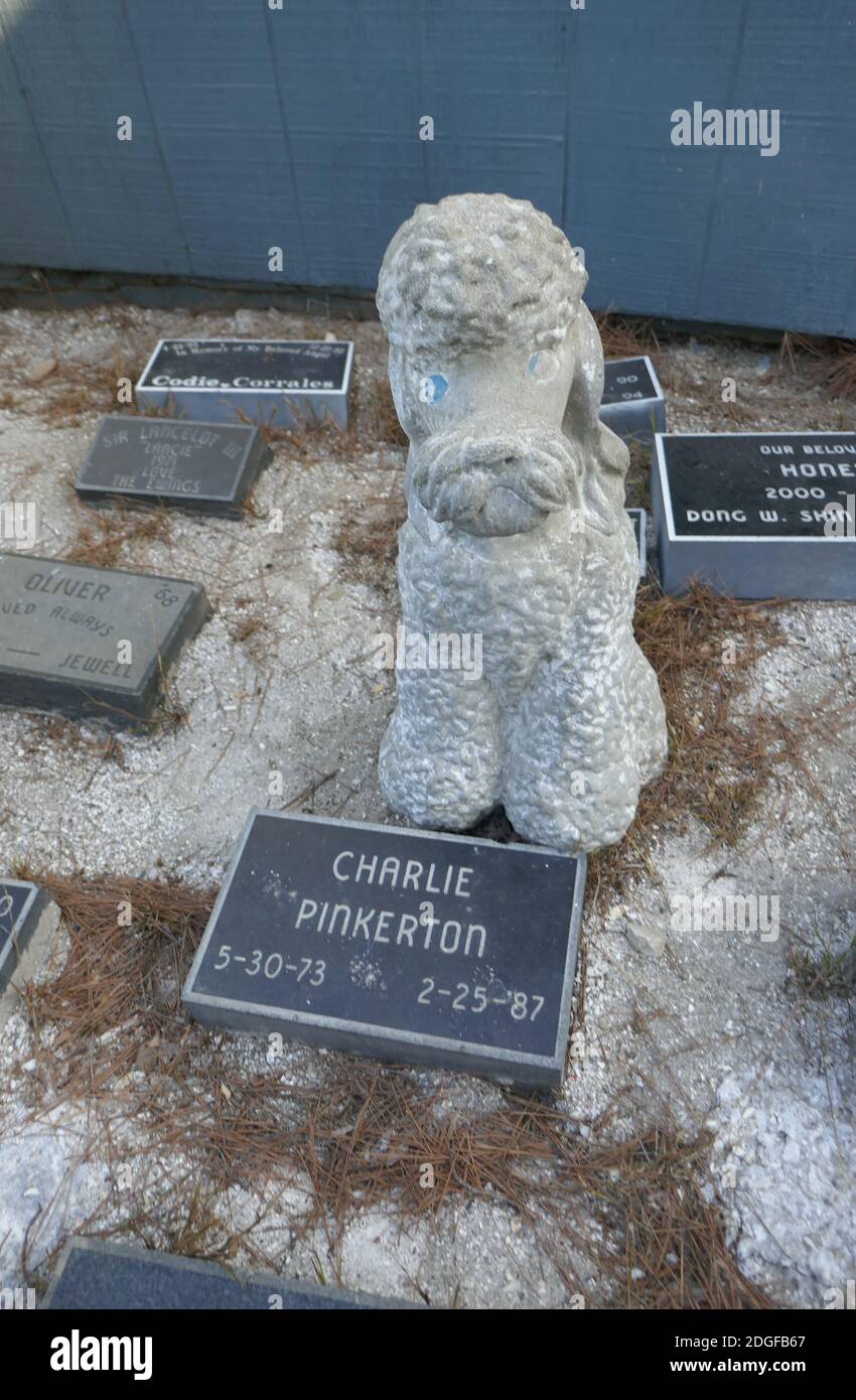 Gardena, California, USA 2nd December 2020 Pet Grave for Charlie ...