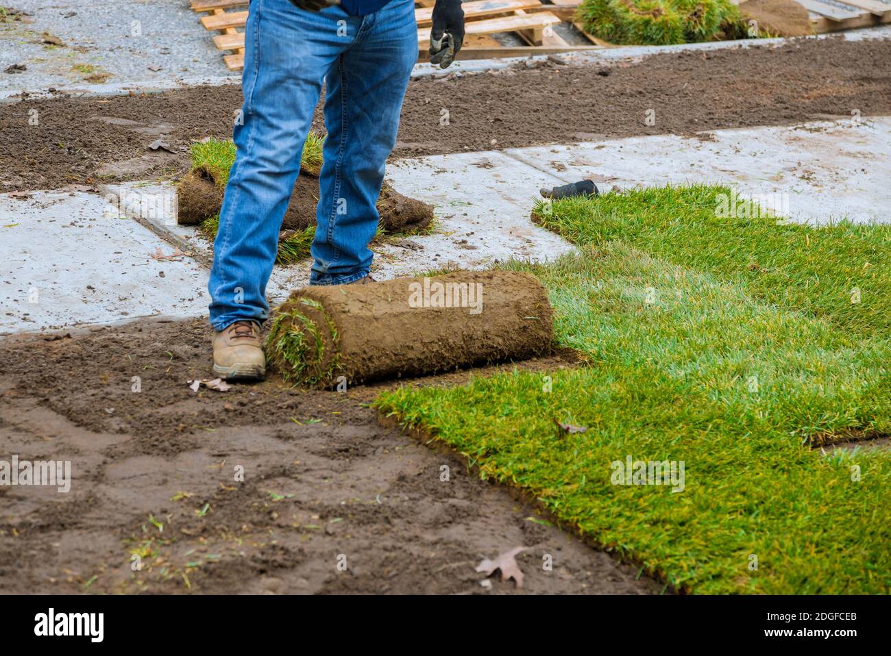 Hands in gardening laying green grass, installing on the lawn Stock ...