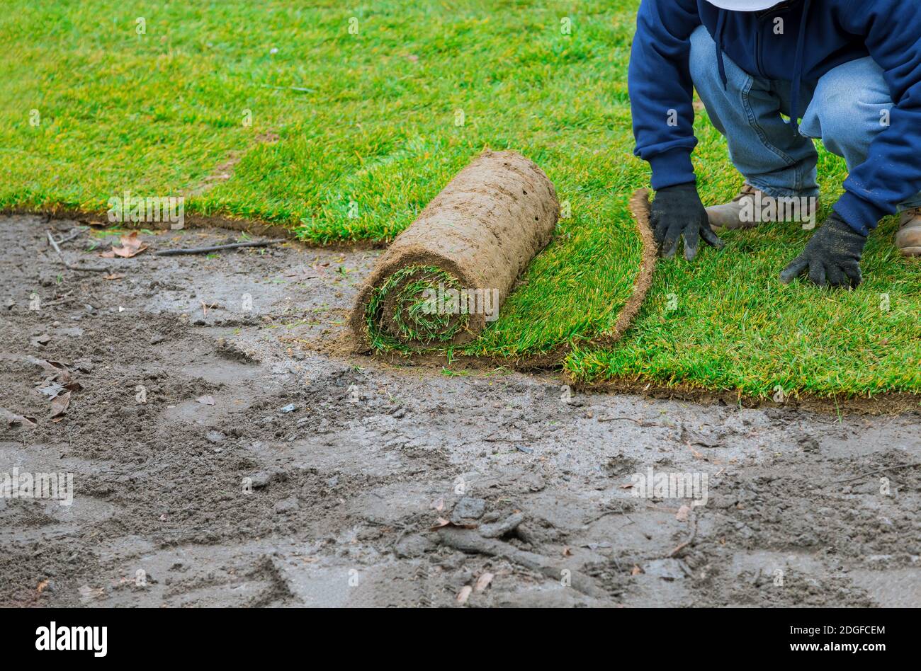 Installing grass hi-res stock photography and images - Alamy