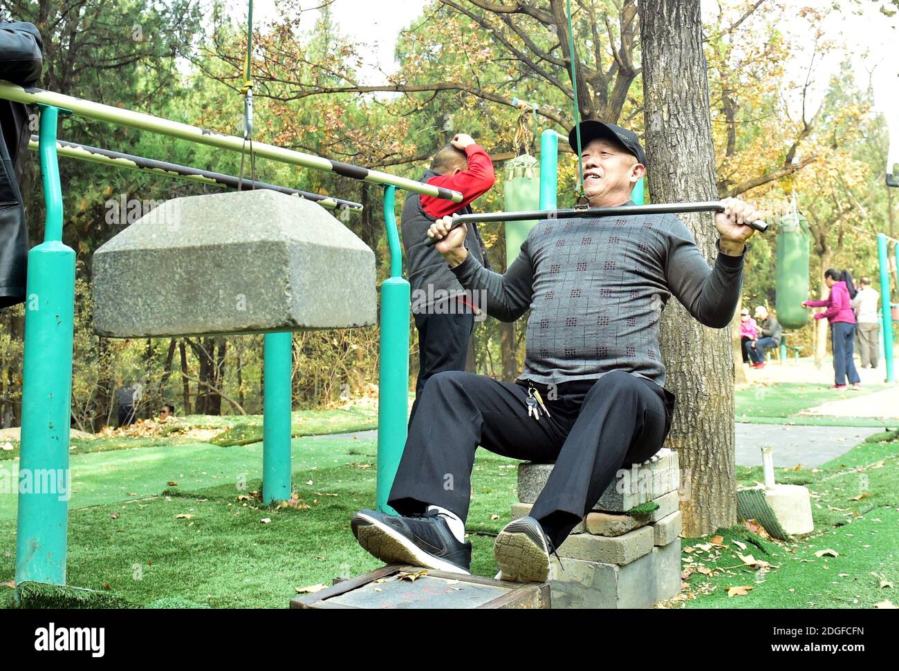 Grandpas exercise in a special "gym" in the forest space of a local ...