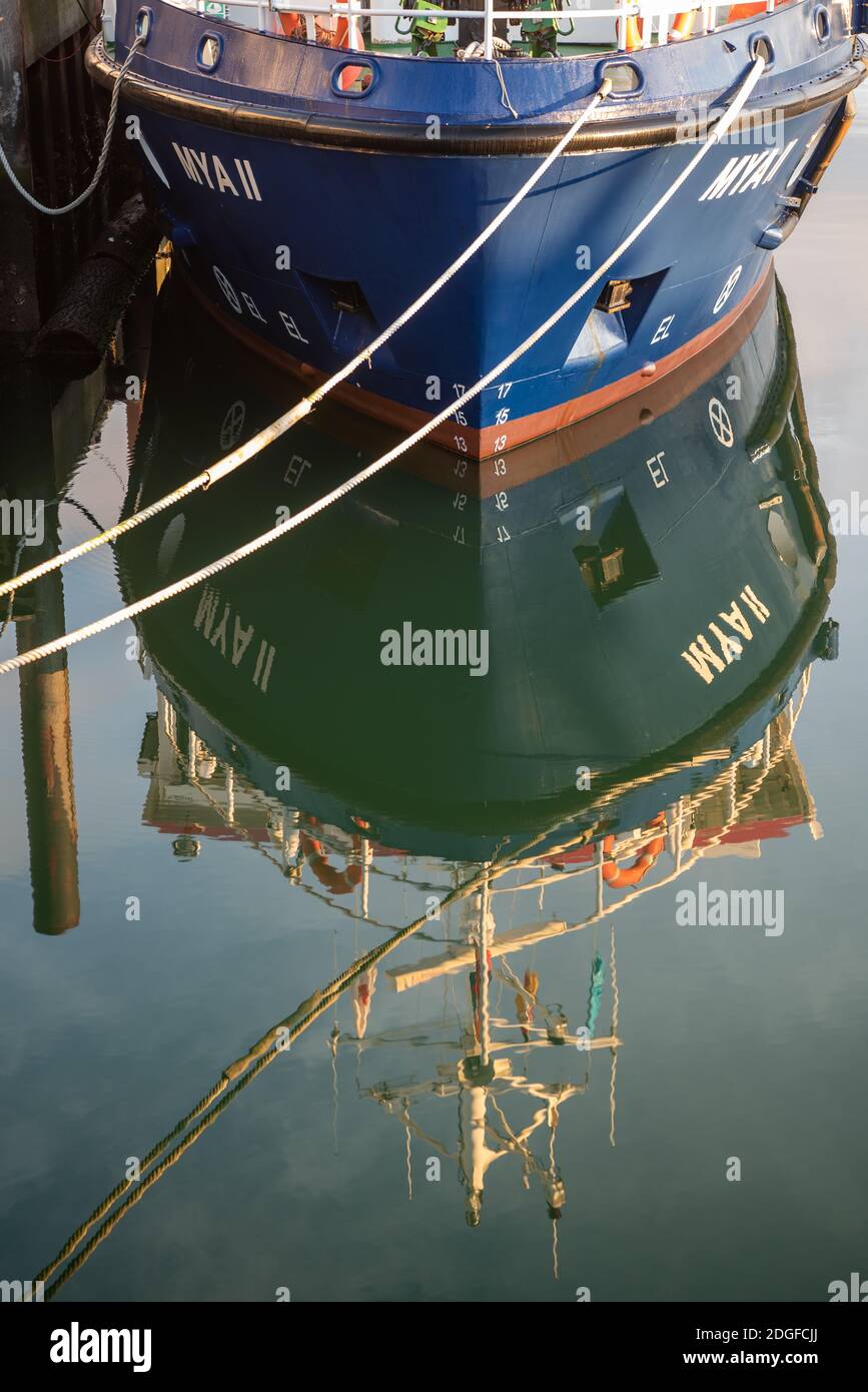 Reflection Bug Water High Resolution Stock Photography and Images - Alamy
