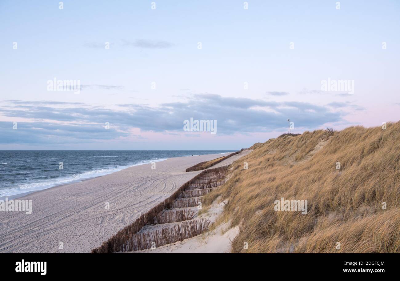 Dune stalks hi-res stock photography and images - Alamy