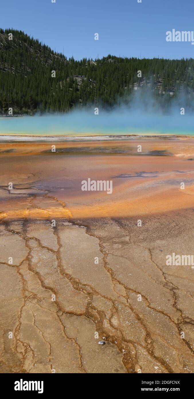 Yellowstone national park the nature Stock Photo - Alamy