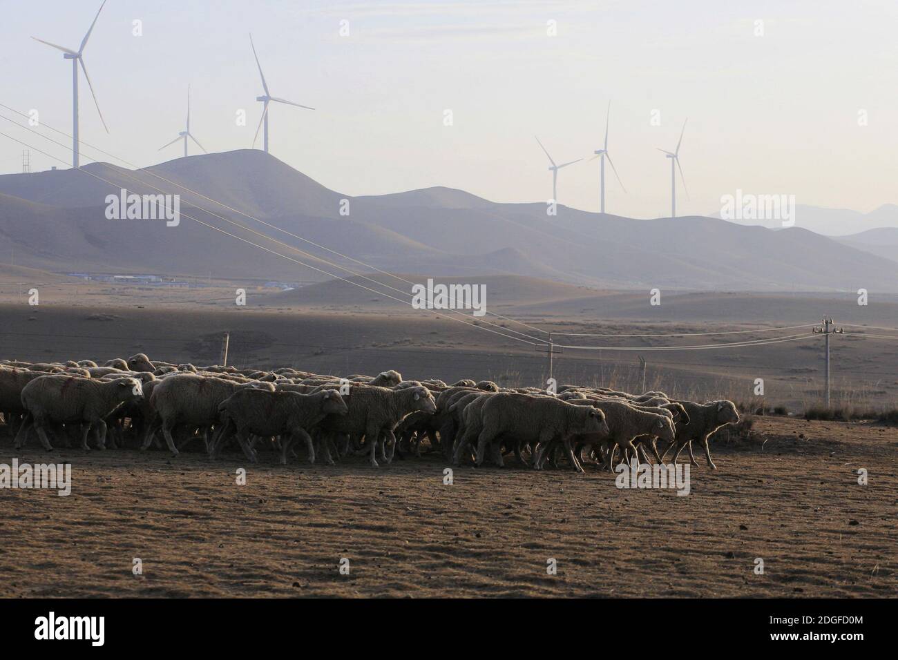 Gansu wind turbine hi-res stock photography and images - Alamy