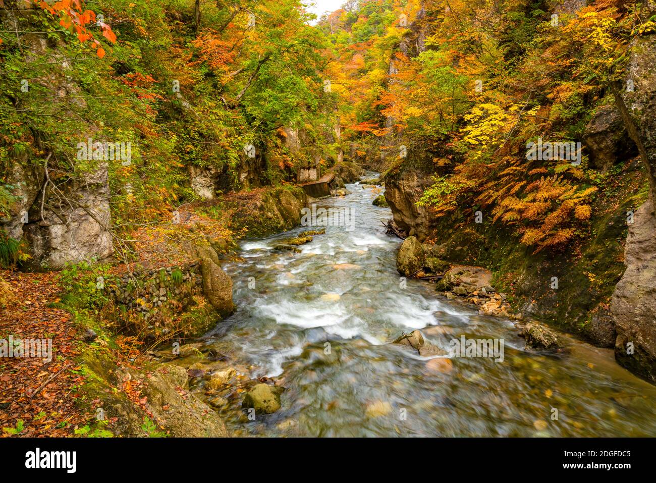 Natural stream flow passing the rock cliff Stock Photo - Alamy
