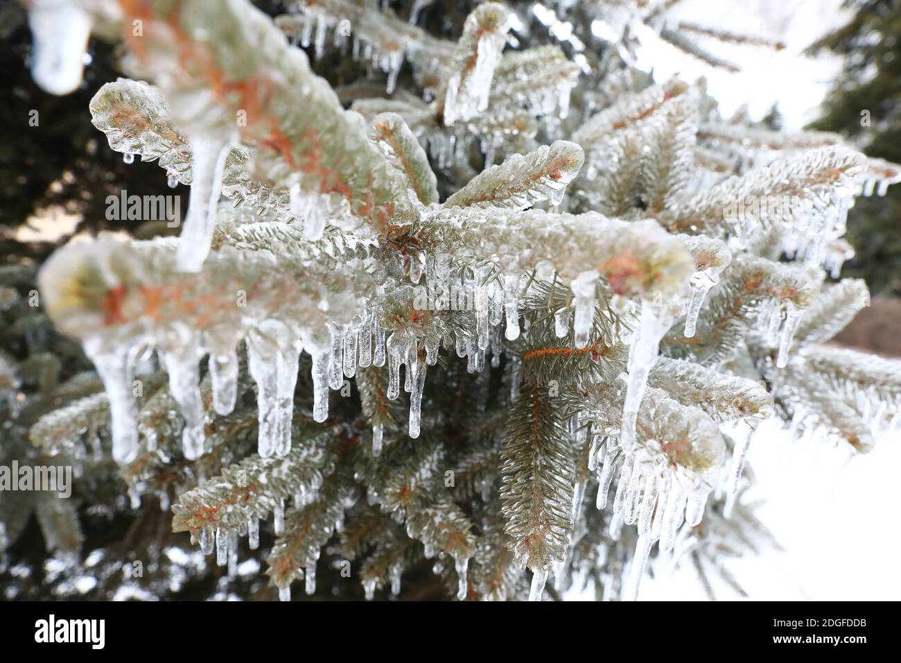 Changchun city encounters extreme weather with rain and snow cooling ...