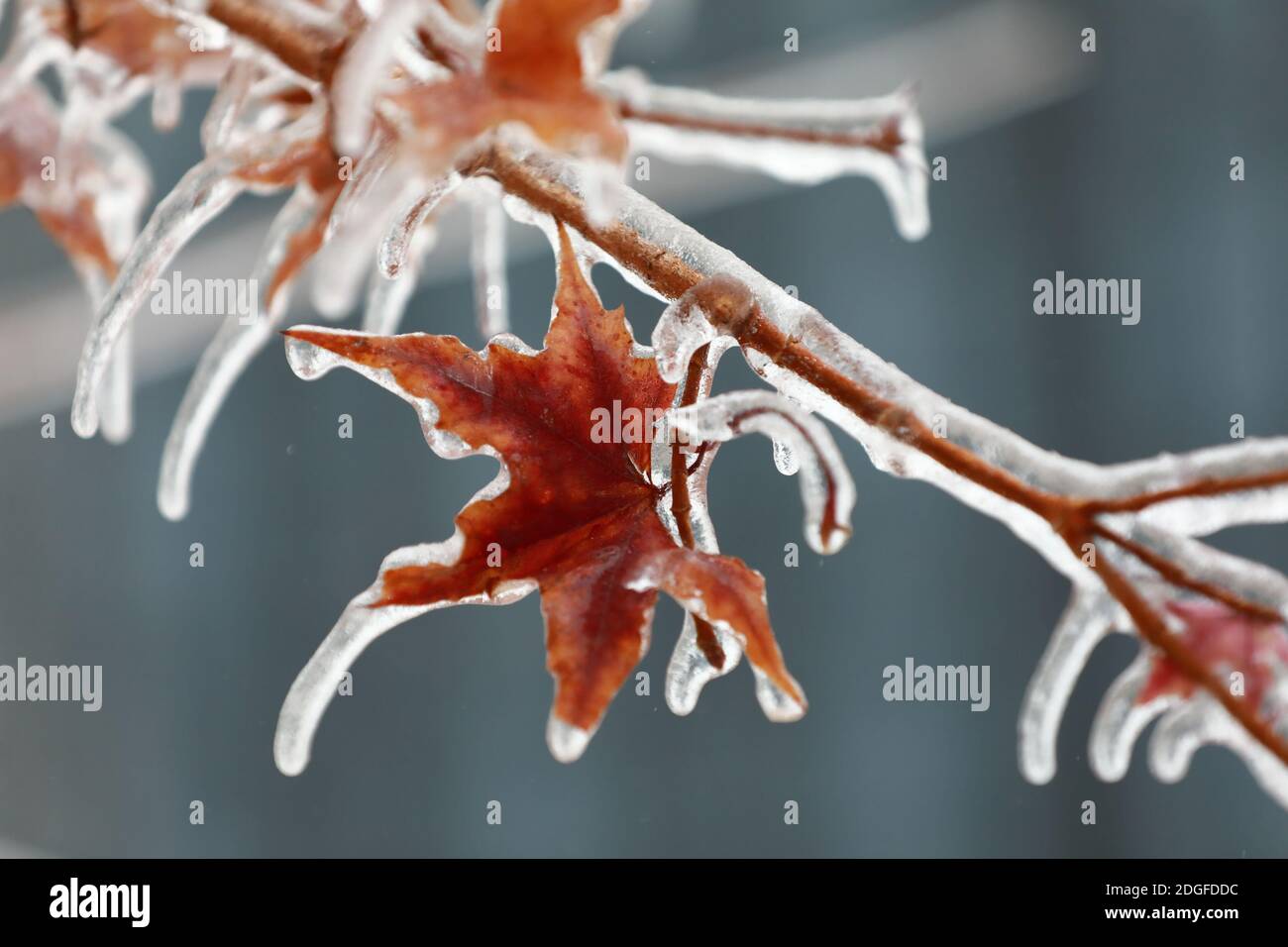 Changchun city encounters extreme weather with rain and snow cooling ...