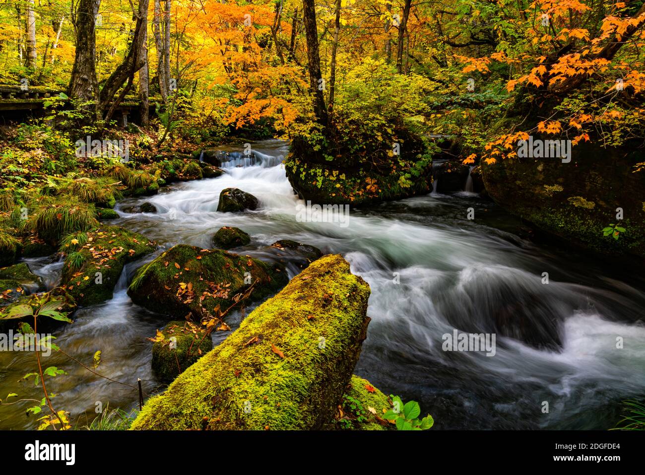 View of Oirase River flow along the Oirase Walking Trail passing the ...