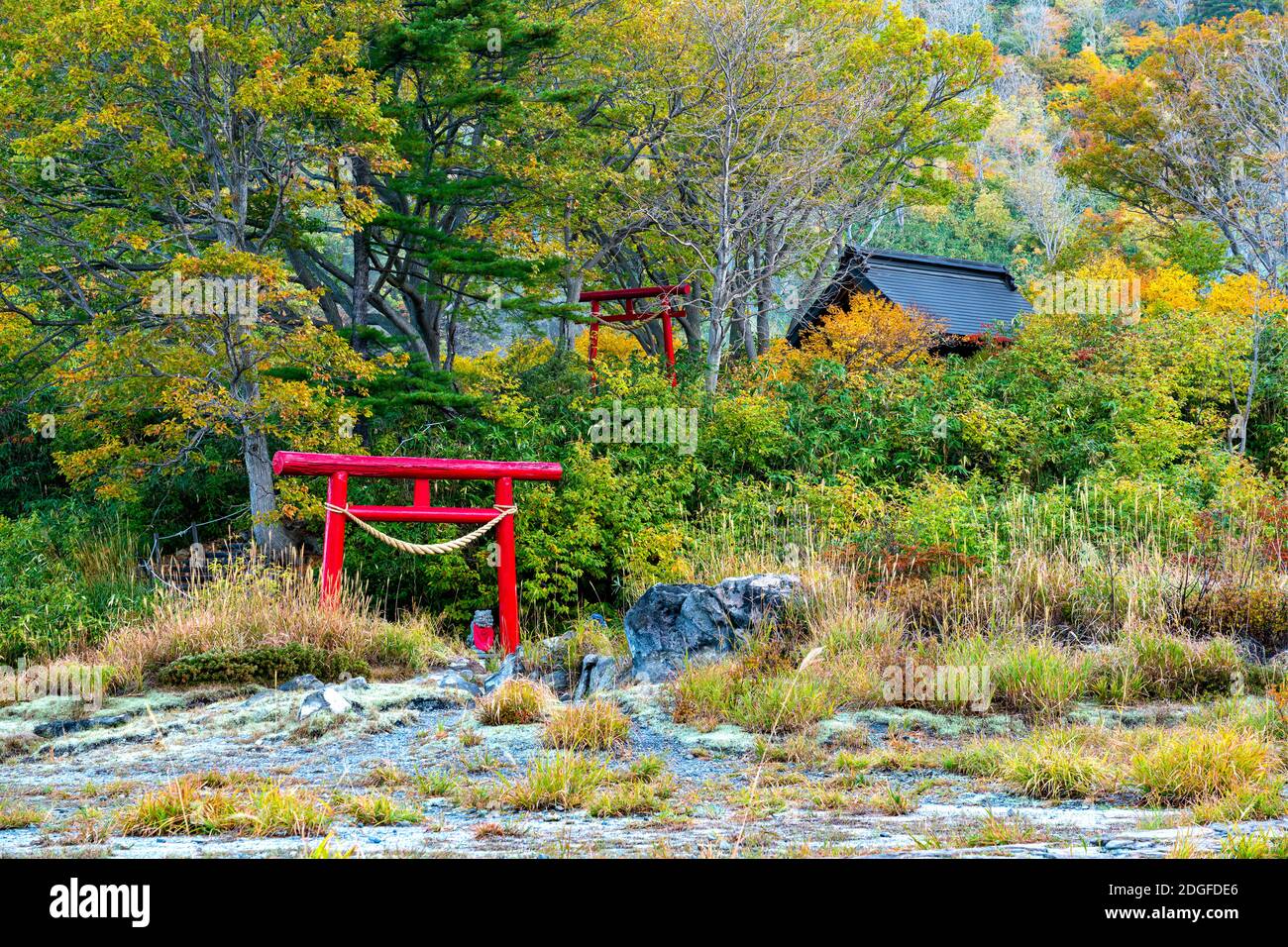 Autumn scenery tamagawa onsen hi-res stock photography and images - Alamy