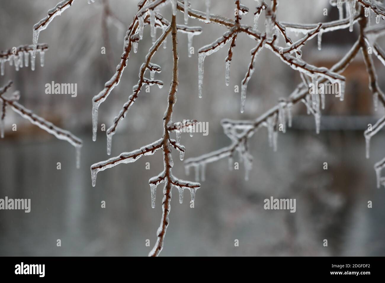 Changchun city encounters extreme weather with rain and snow cooling ...