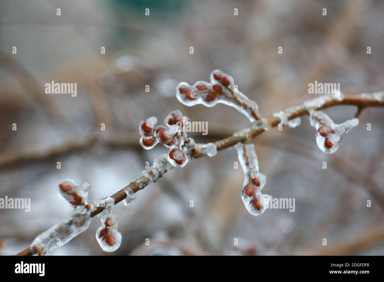 Changchun city encounters extreme weather with rain and snow cooling ...