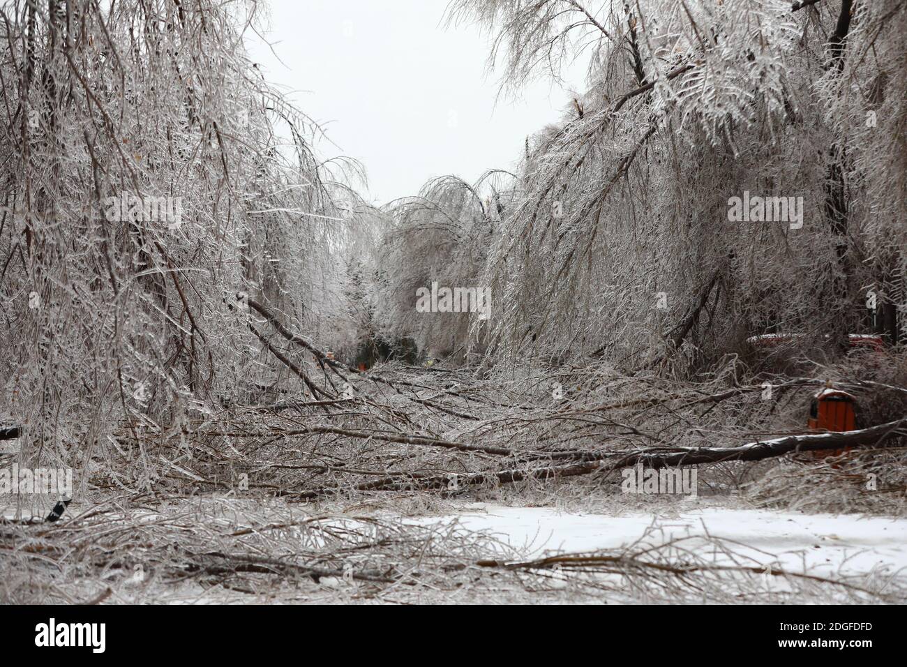 Changchun city encounters extreme weather with rain and snow cooling ...