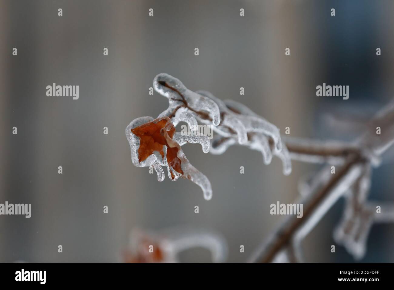 Changchun city encounters extreme weather with rain and snow cooling ...