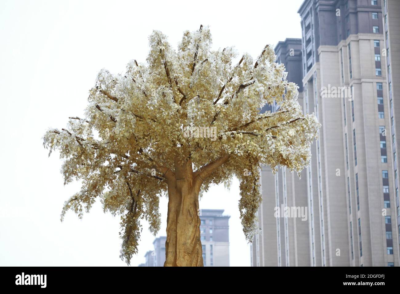 Changchun city encounters extreme weather with rain and snow cooling ...