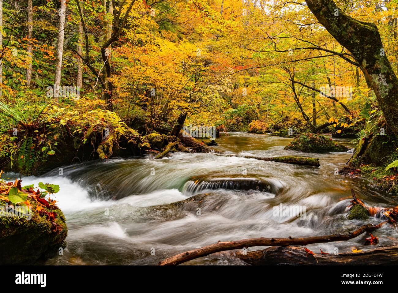 Stream with beautiful rocks hi-res stock photography and images - Alamy