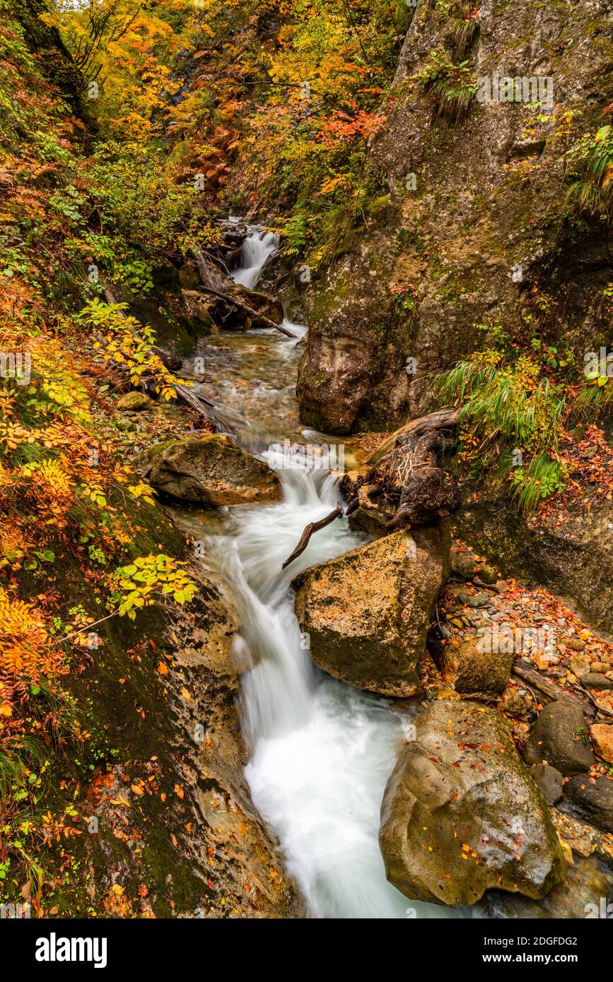 Clear natural stream flow down from the mountain Stock Photo - Alamy