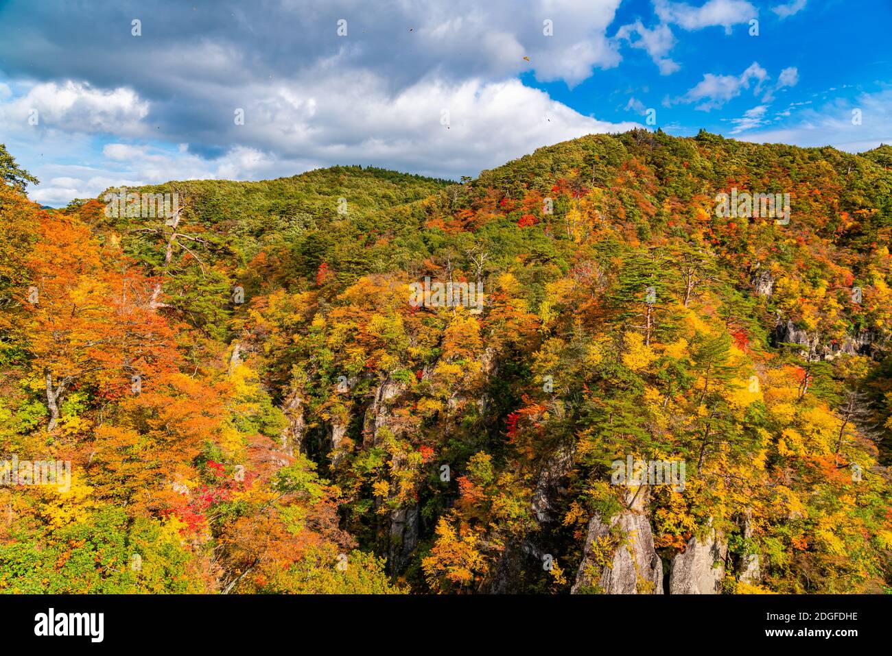 Beautiful color of autumn foliage in the forest of the mountain Stock ...