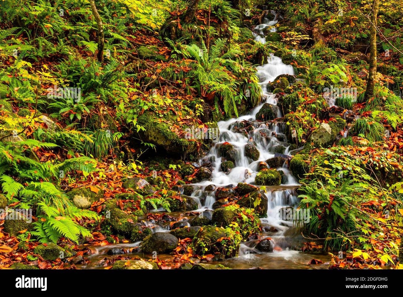 Small stream passing rocks hi-res stock photography and images - Alamy