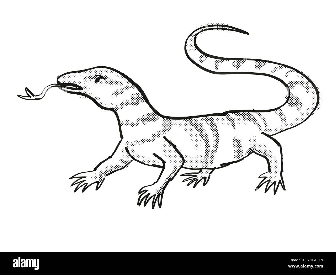 Monitor Lizard Drawing