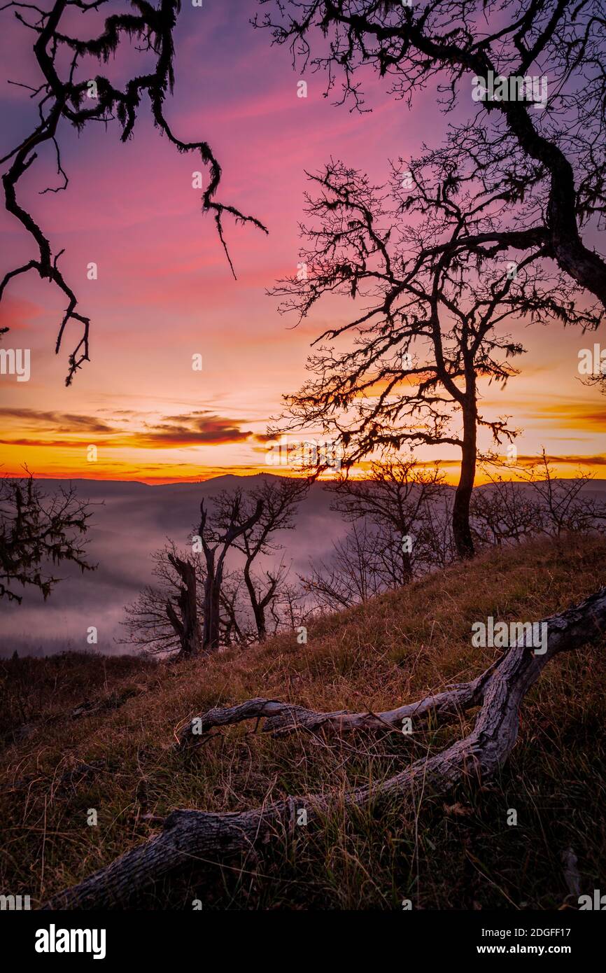 Tree over valley hi-res stock photography and images - Alamy