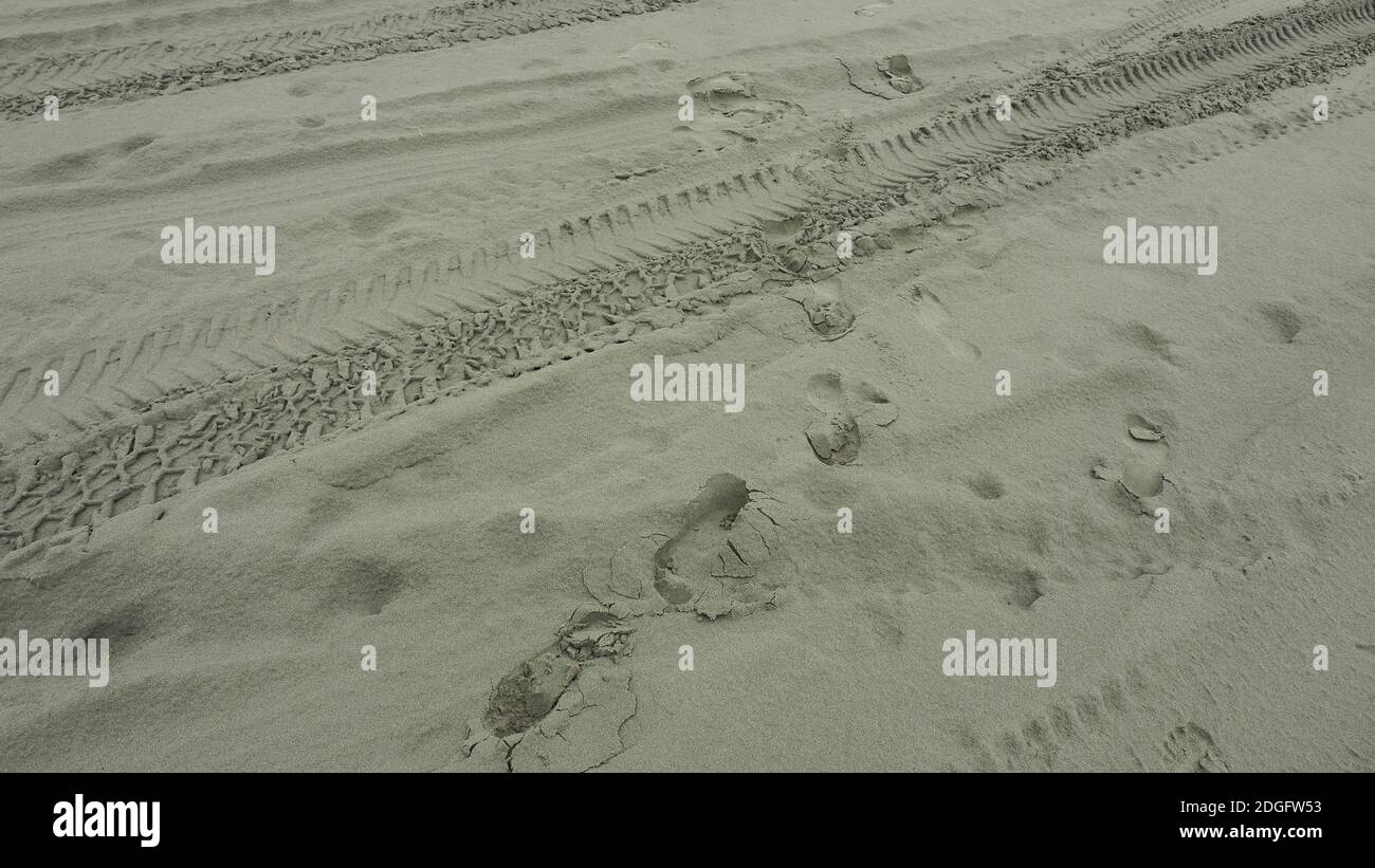 Footprints crossing tyre impressions in sand on Waitarere Beach, NZ ...