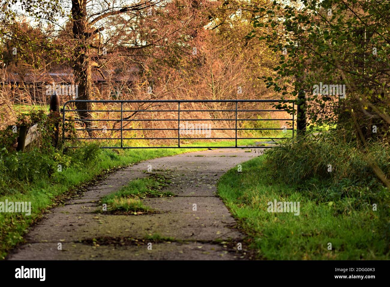 A view of a galvanized farm gate in a far Stock Photo - Alamy