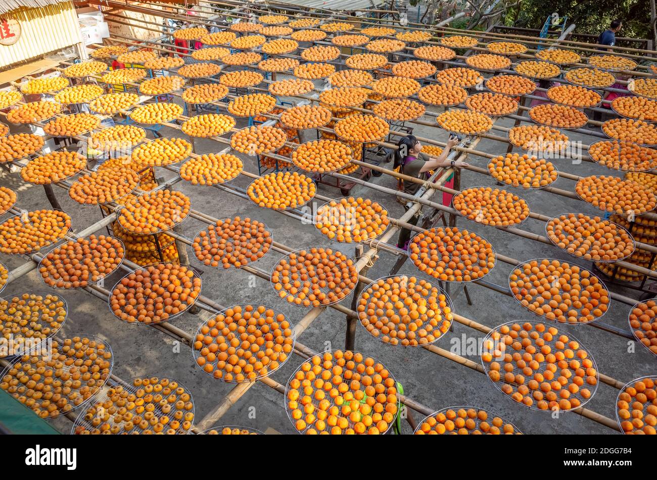Mature fresh yellow persimmon hi-res stock photography and images - Alamy