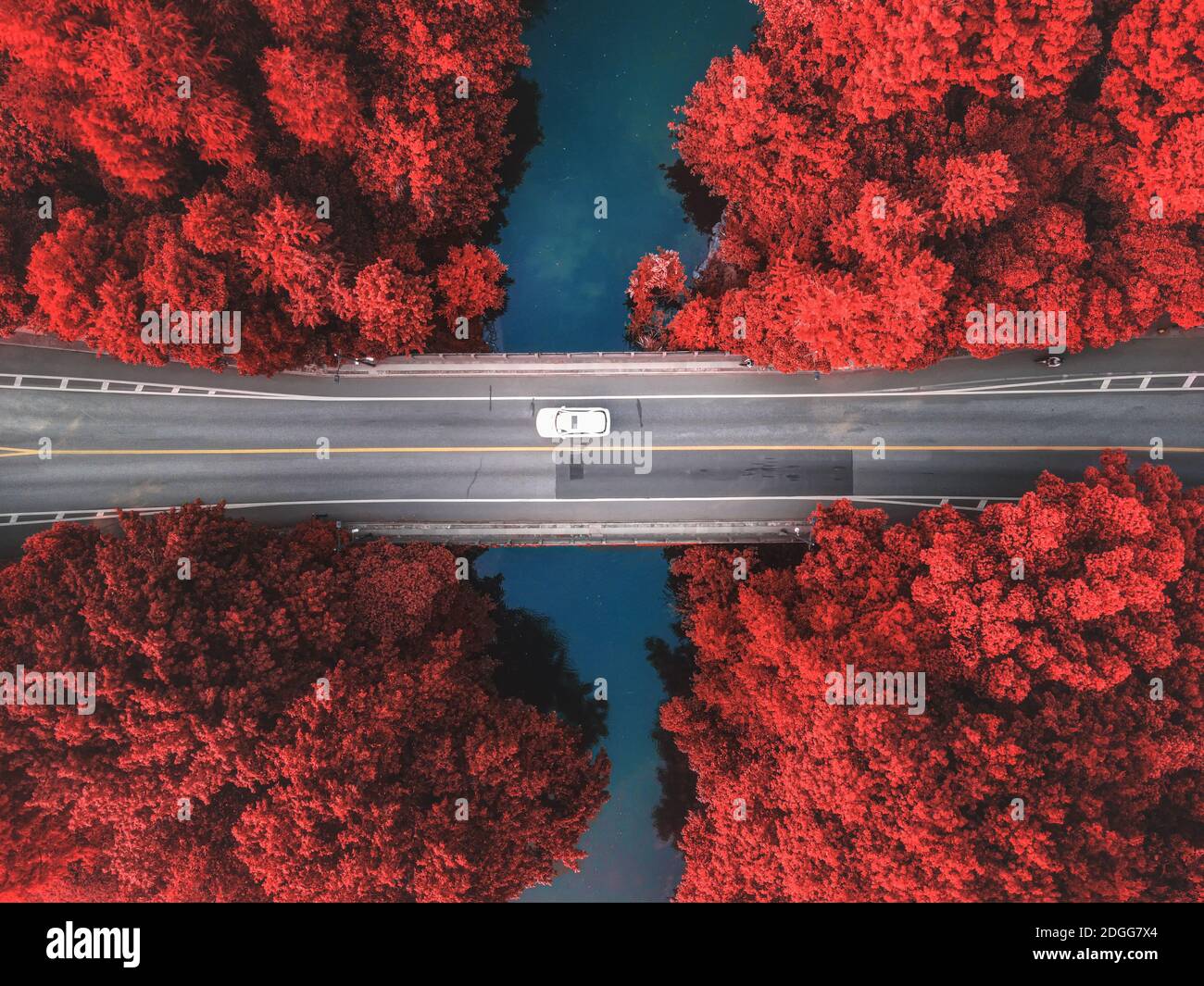 In this undated photo, the aerial view of Jingxing Bridge in autumn is ...