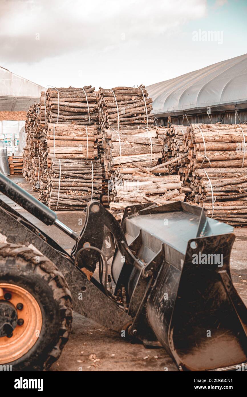 Small tractor for carries logs cut, firewood industrial concept Stock ...