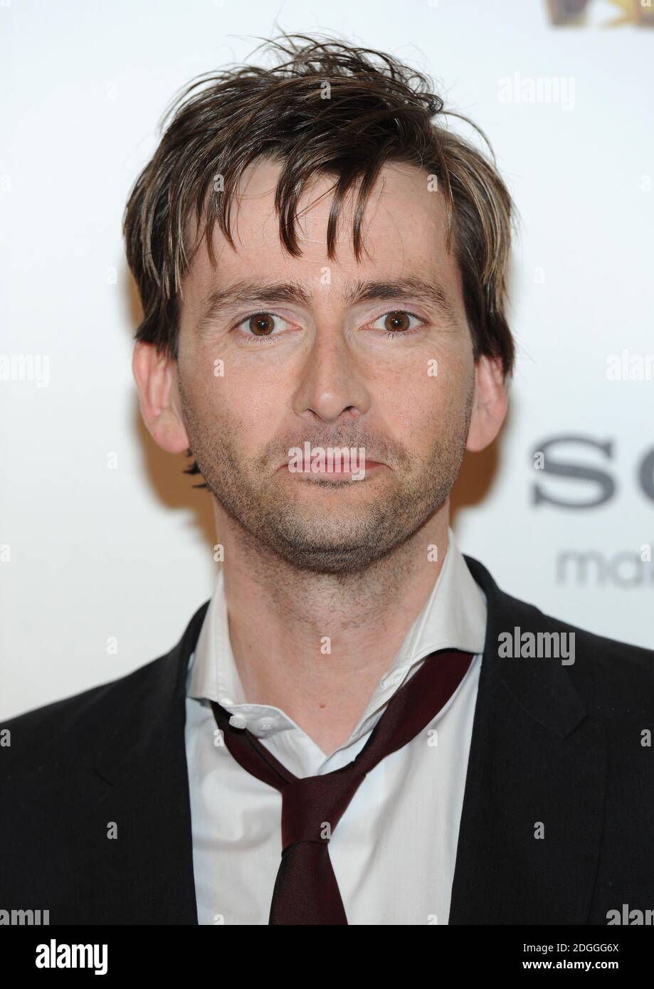 David Tennant arrives at the Premiere of The Pirates, In an Adventure ...