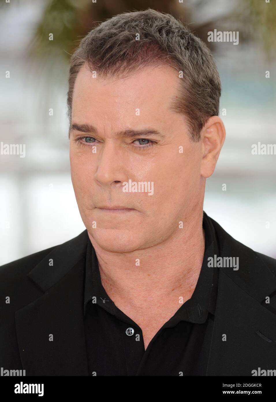 Ray Liotta at the photocall for Killing Them Softly, held at the Palais ...