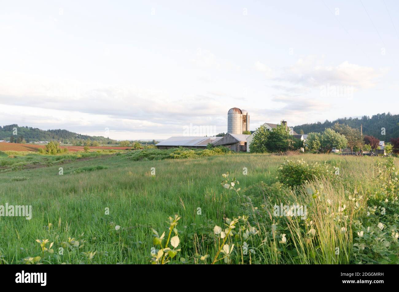 Rural banks hi-res stock photography and images - Alamy