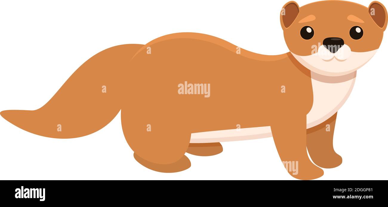 Baby mink icon. Cartoon of baby mink vector icon for web design ...