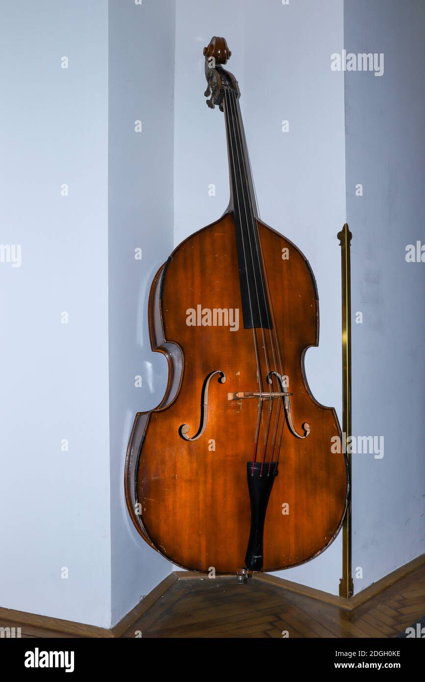 Cello leaning against a wall in the hallway of a hotel in downtown ...