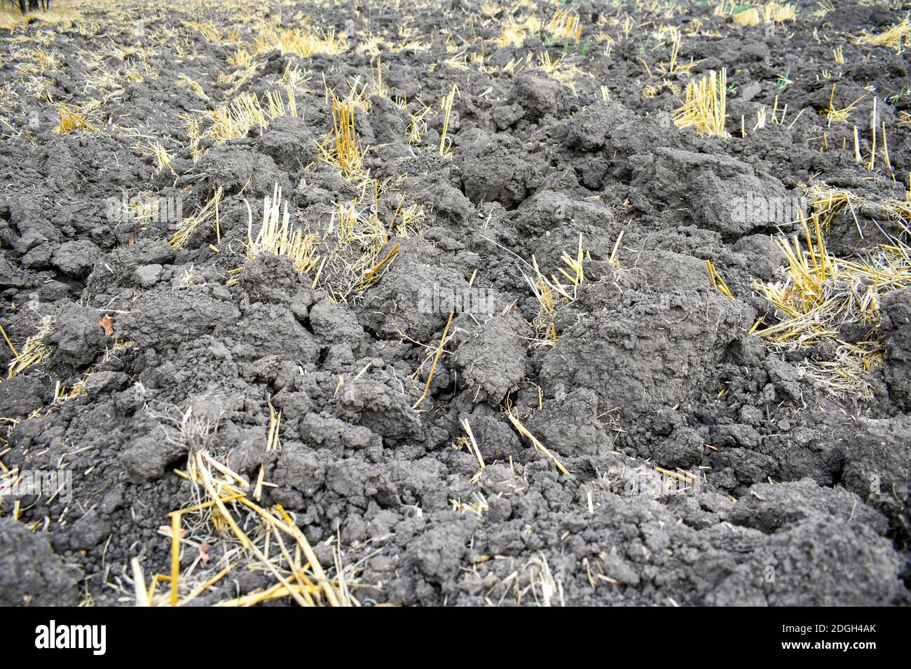 Chernozem hi-res stock photography and images - Alamy