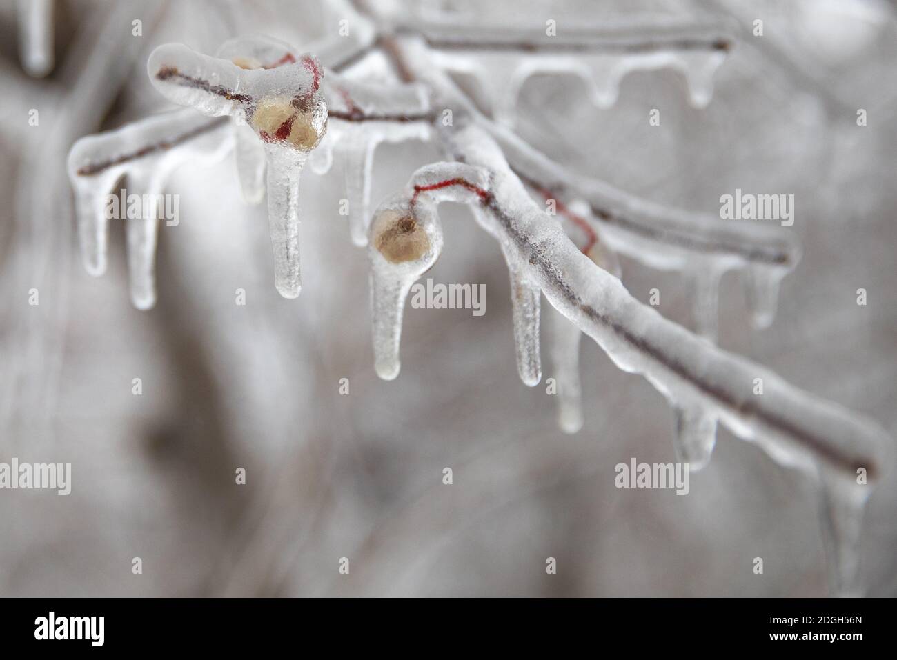Changchun city encounters extreme weather with rain and snow cooling ...