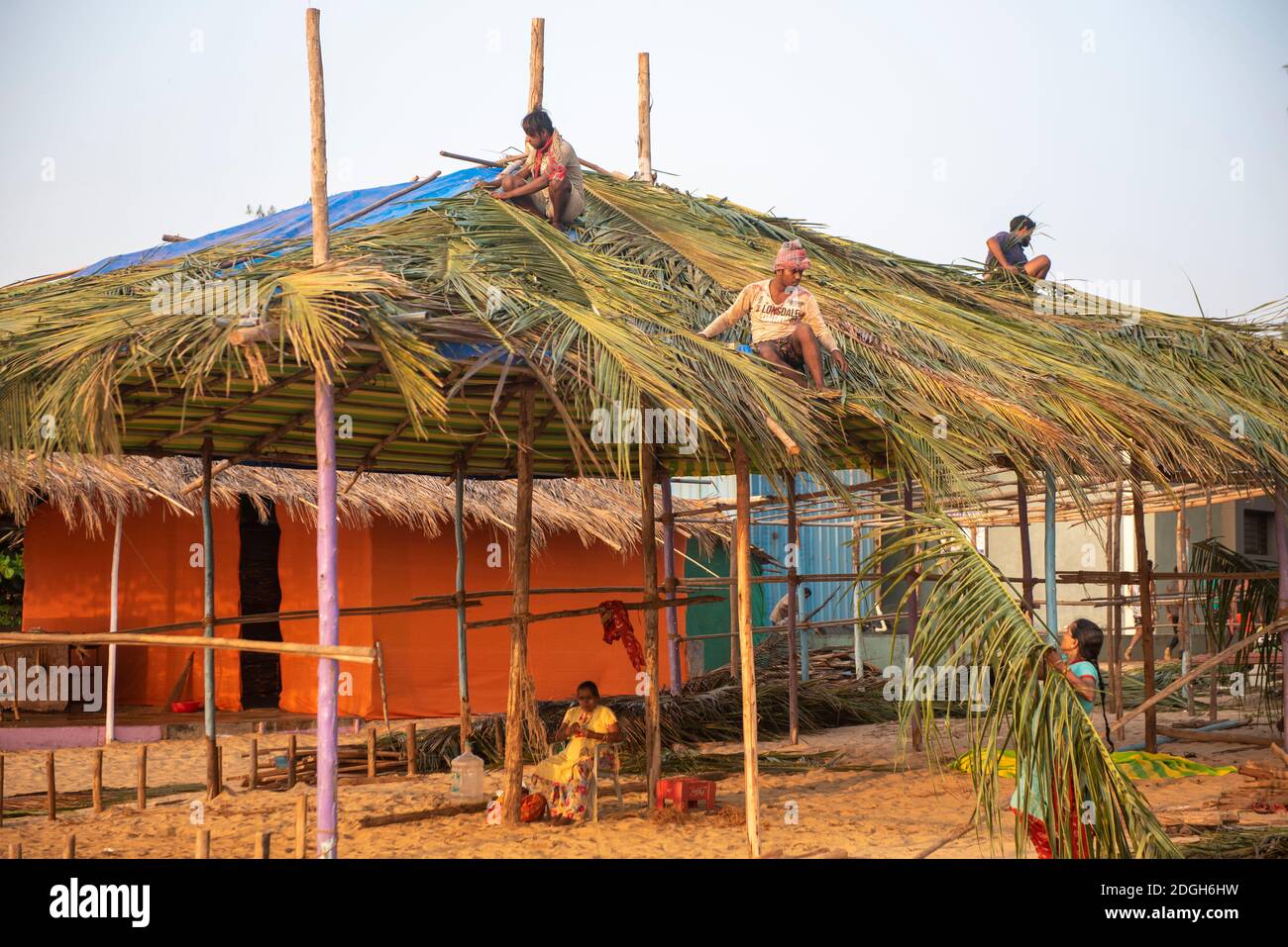 Coconut Tree Leaves Roof
